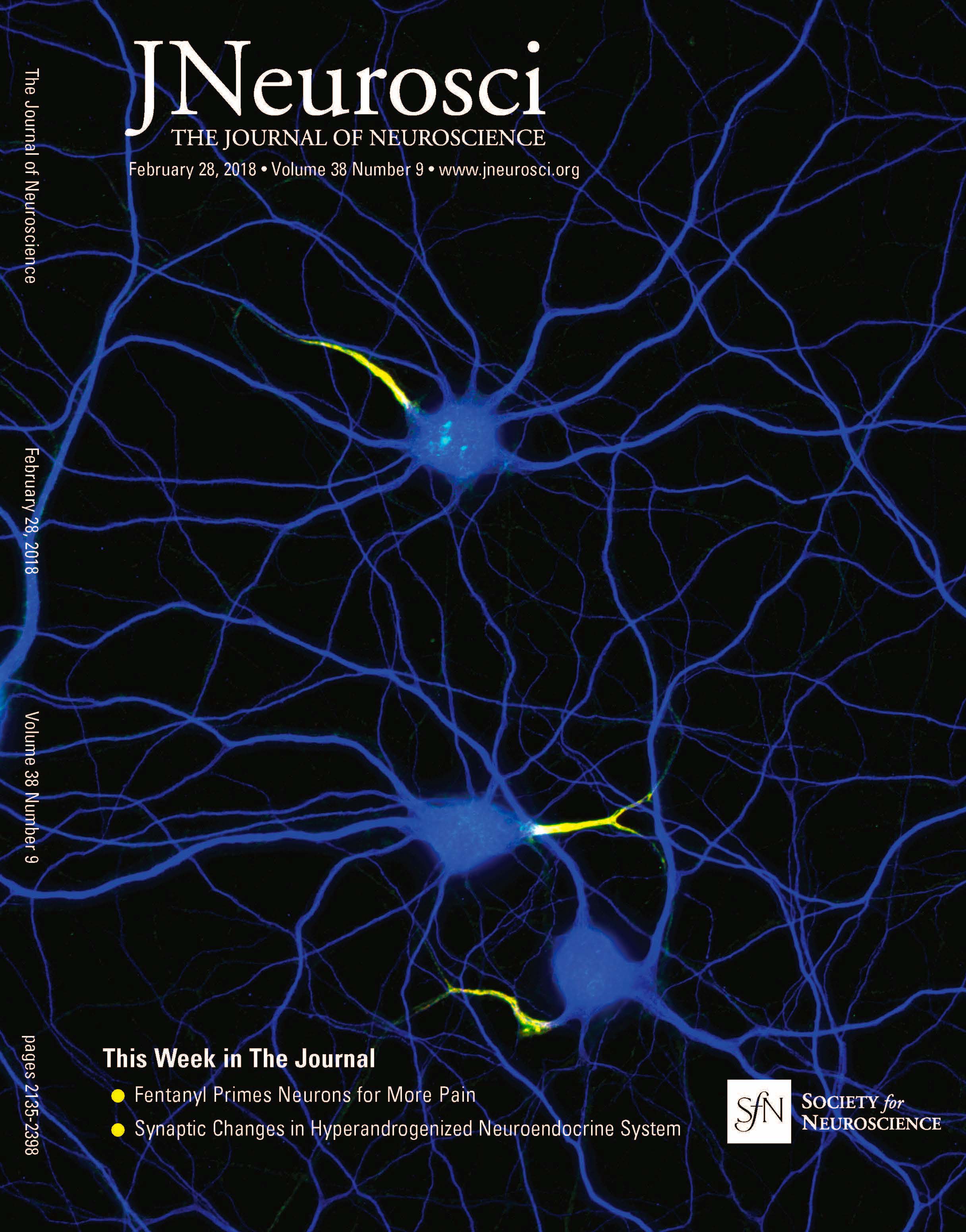 Just out: a Viewpoint on the Axon Initial Segment – NeuroCyto Lab