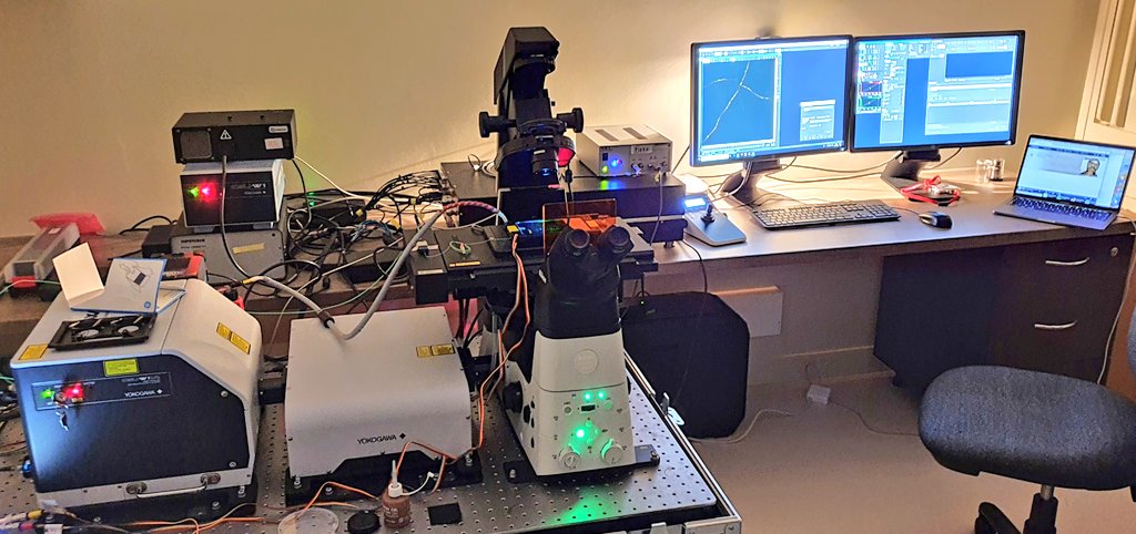Demoing the SoRa super-resolution spinning-disk microscope – NeuroCyto Lab